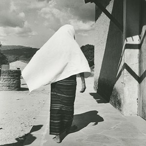 Mariana Yampolsky's Art For Sale, Exhibitions & Biography | Ocula Artist