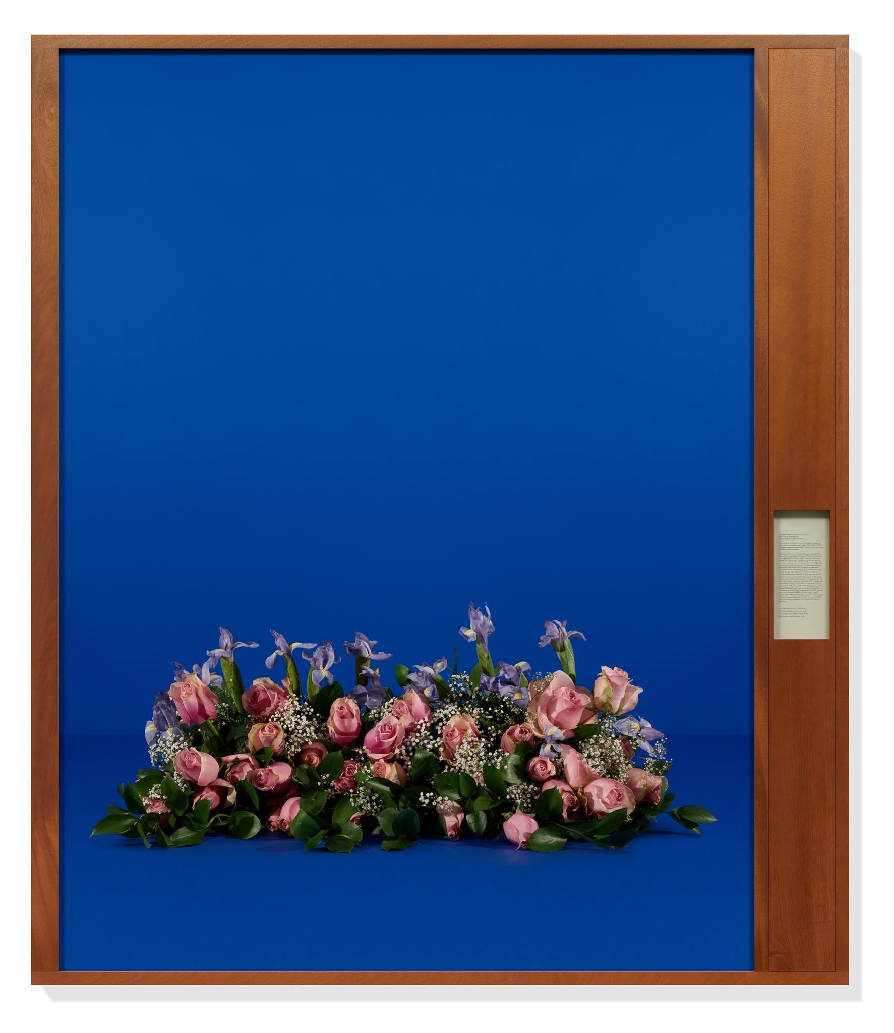 Taryn Simon | Artist Profile, Exhibitions & Artworks | Ocula