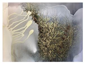 Janet Laurence | Artist Profile, Exhibitions & Artworks | Ocula