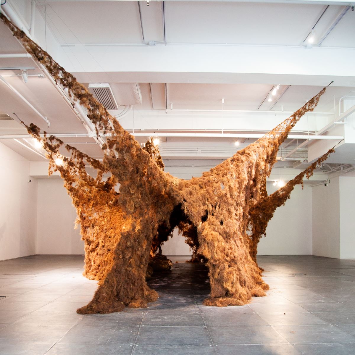 Wing Po So's Art For Sale, Exhibitions & Biography | Ocula Artist