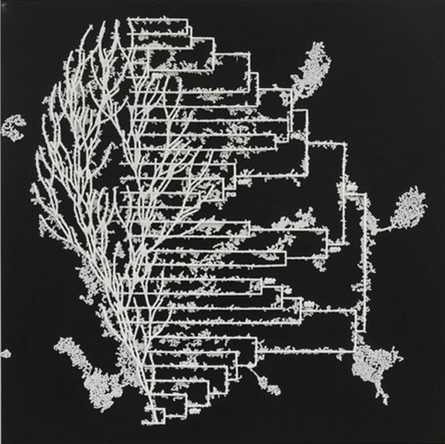 Loris Cecchini's Art For Sale, Exhibitions & Biography | Ocula Artist