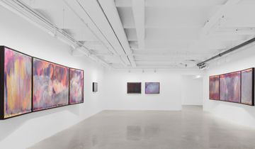 Thu-Van Tran Biography, Artworks & Exhibitions | Ocula Artist