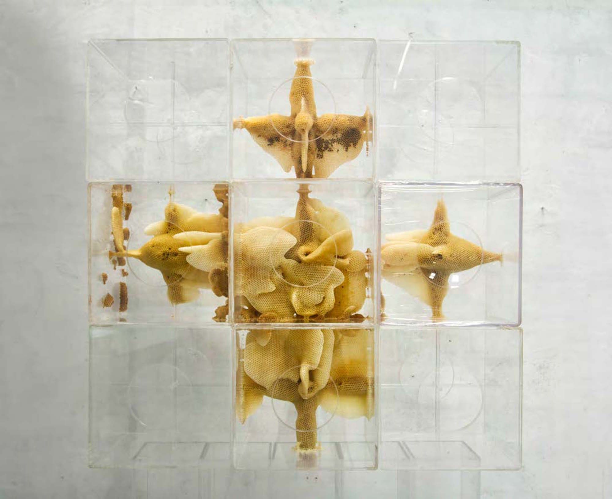 Ren Ri Biography, Artworks & Exhibitions | Ocula Artist