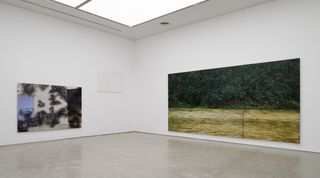 Han Feng Biography, Artworks & Exhibitions | Ocula Artist