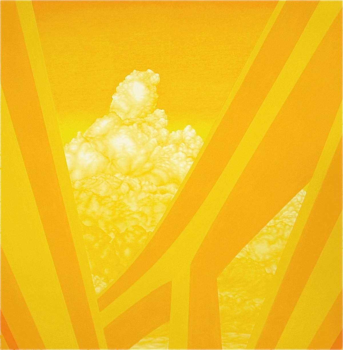 Scott Gardiner Biography, Artworks & Exhibitions | Ocula Artist