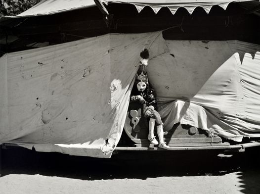 Craig Easton Wins Sony World Photographer of the Year 2021 | News | Ocula