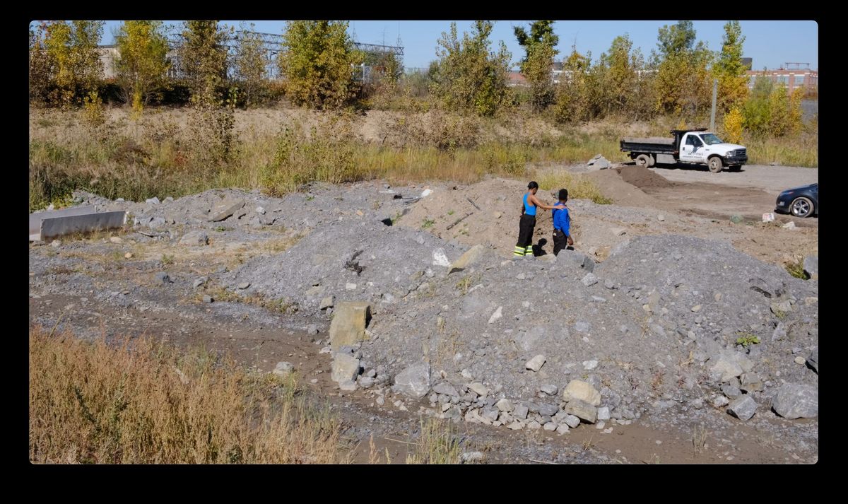 Eve Tagny's Art For Sale, Exhibitions & Biography | Ocula Artist