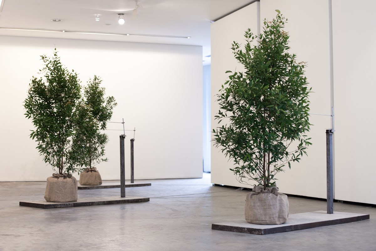 Martha Atienza Biography, Artworks & Exhibitions | Ocula Artist