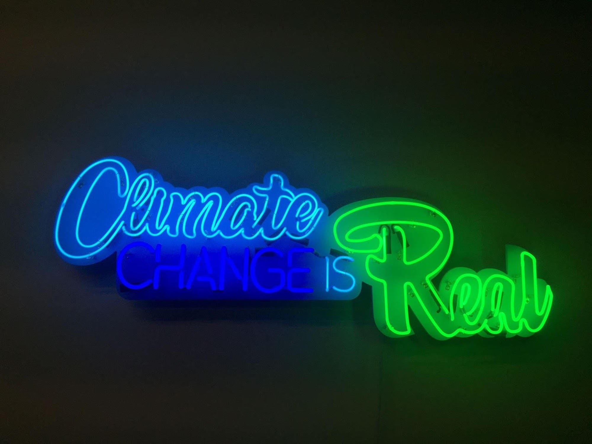 Climate Change is Real (Multiple), 2017 by Andrea Bowers | Ocula