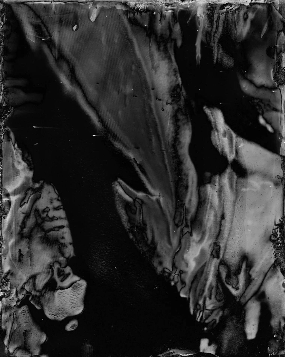 Casey Reas And Erika Weitz's Art For Sale, Exhibitions & Biography ...