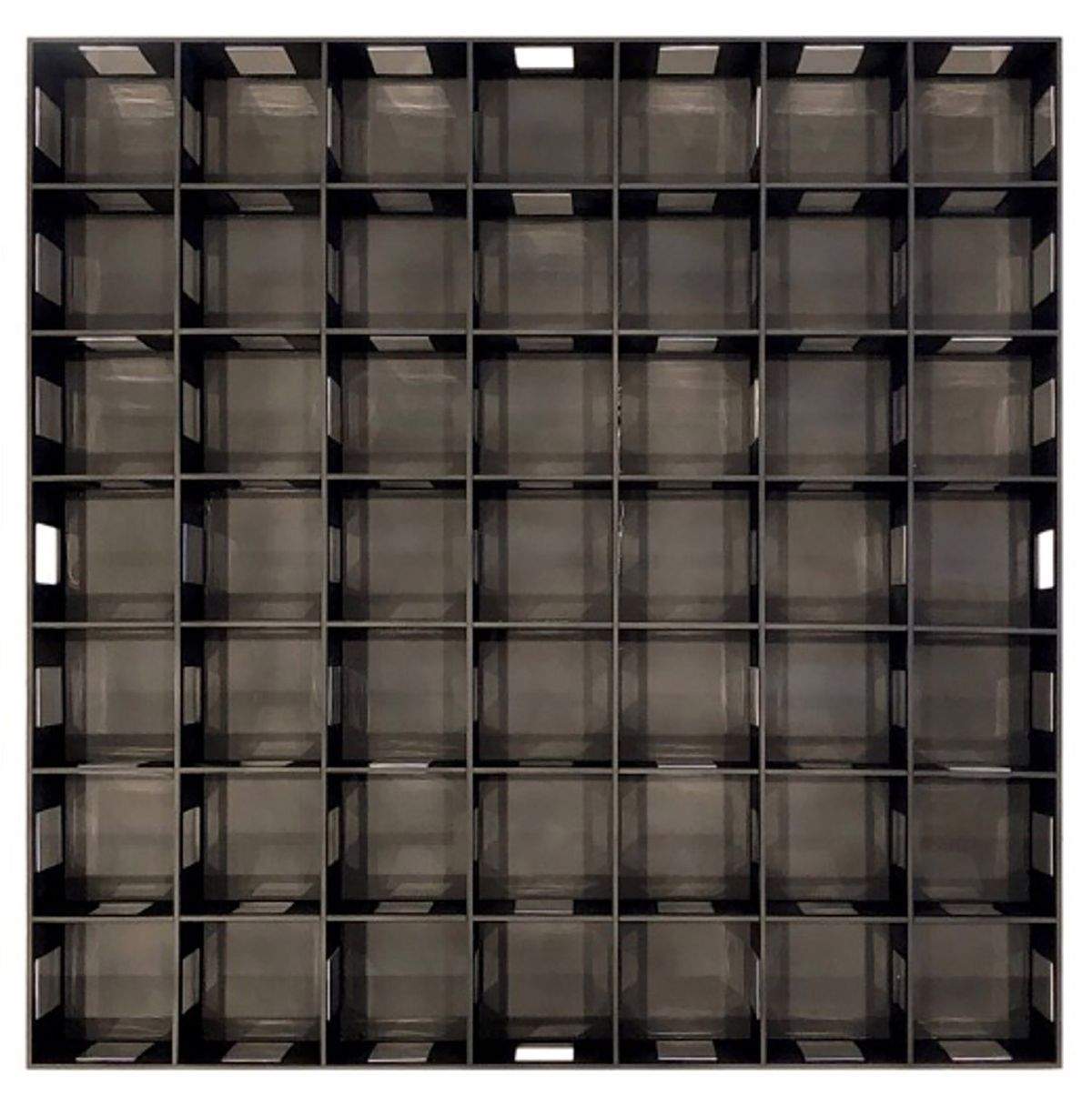 Yang Bodu's Art For Sale, Exhibitions & Biography | Ocula Artist