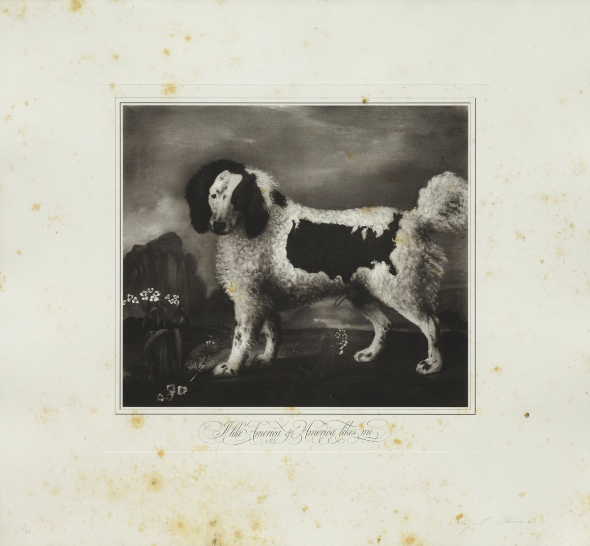 Ged Quinn's Art For Sale, Exhibitions & Biography | Ocula Artist