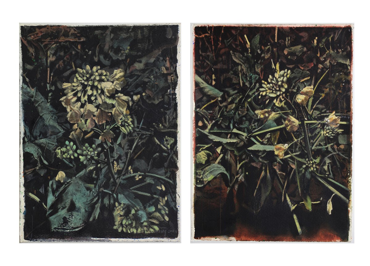 Plant, 2016 by Ma Wenting | Ocula