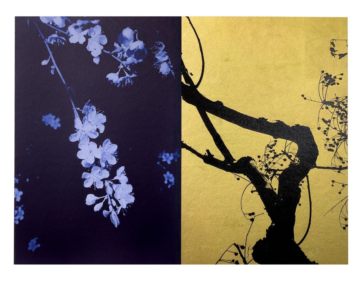 Paul Cupido Biography, Artworks & Exhibitions | Ocula Artist