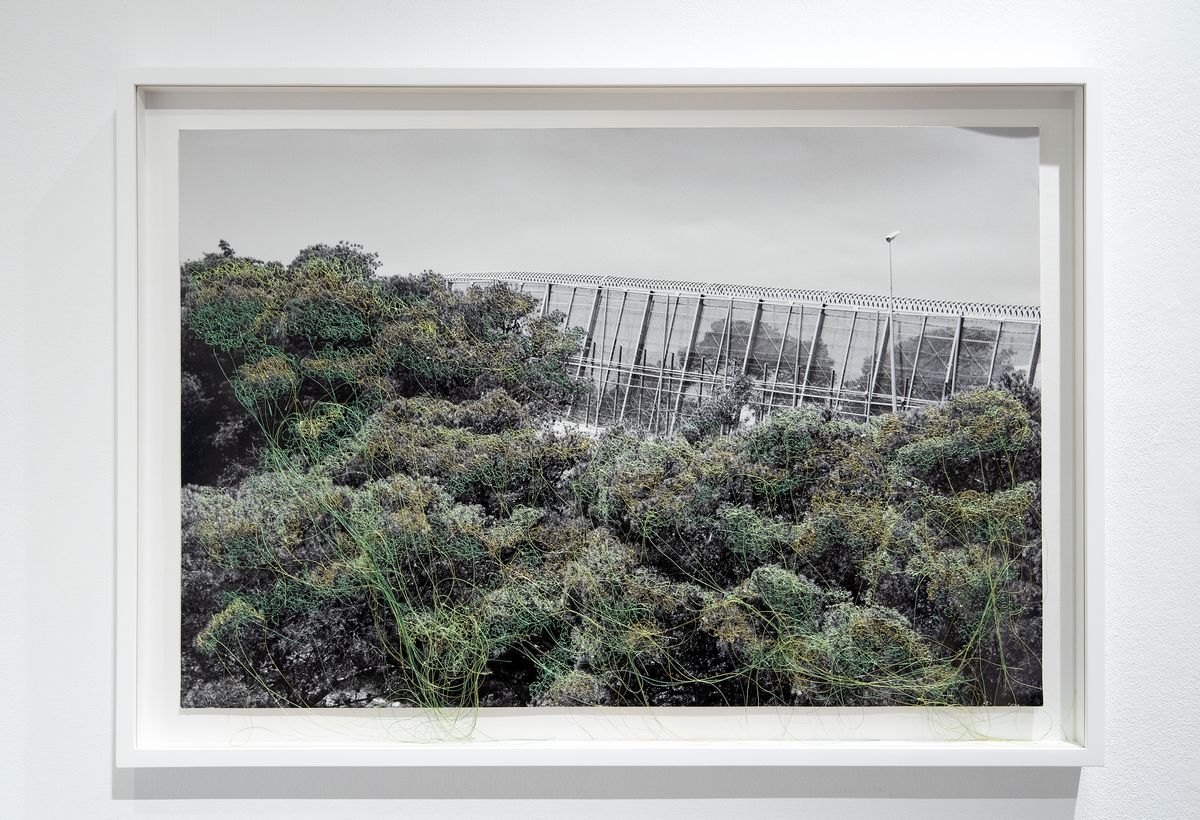 Border Line, 2022 by Mónica De Miranda | Ocula