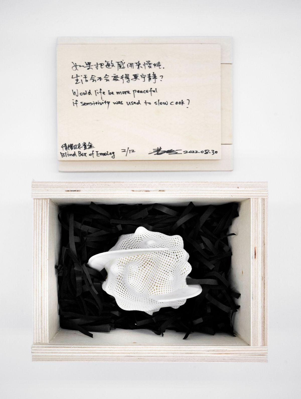 Fei Jun's Art For Sale, Exhibitions & Biography | Ocula Artist