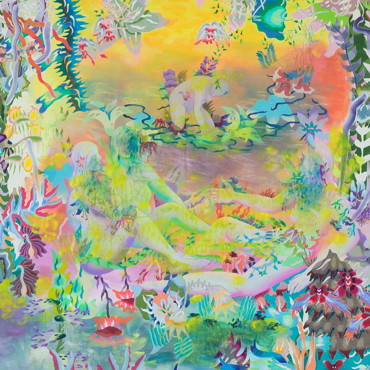 Sarah Ann Weber's Art For Sale, Exhibitions & Biography | Ocula Artist