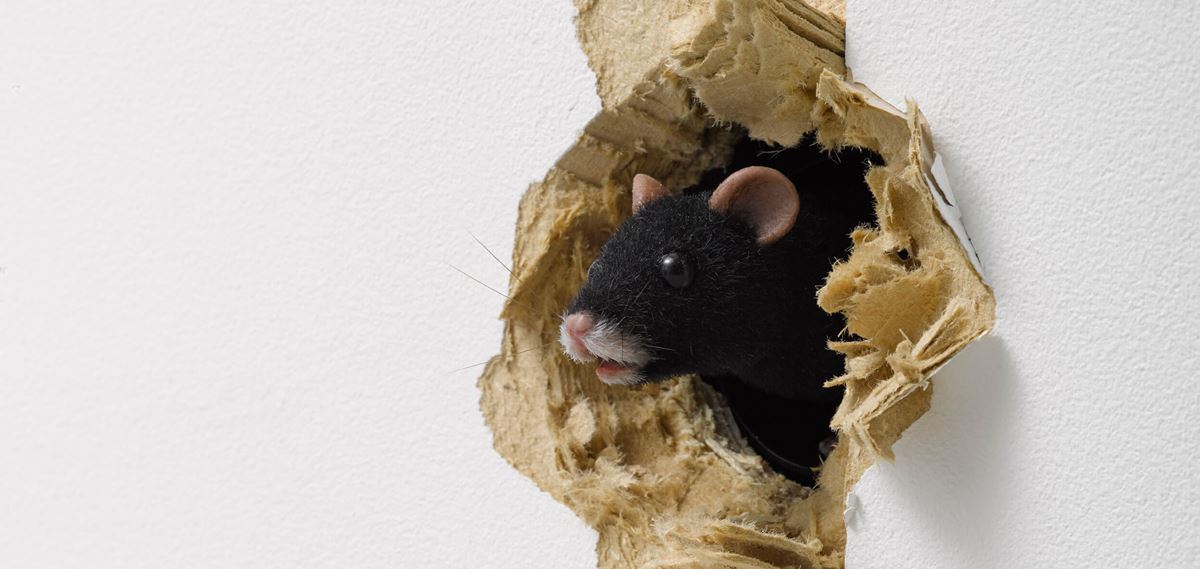 Ryan Gander, 'The End' at Lisson Gallery, Lisson Street, London, United ...