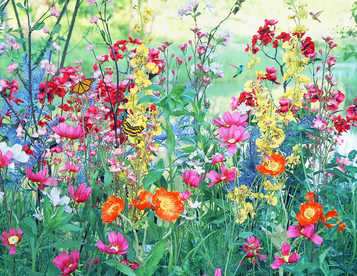 Hyung-Geun Park's Art For Sale, Exhibitions & Biography | Ocula Artist