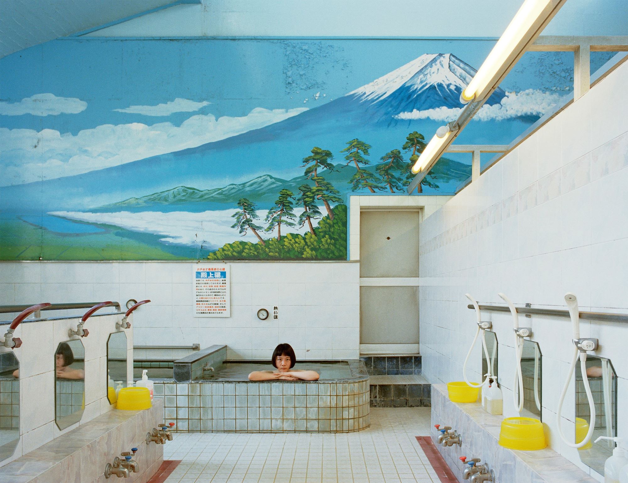 Pixy Liao Biography, Artworks & Exhibitions | Ocula Artist