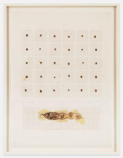 Michelle Stuart Artworks | Ocula Artist