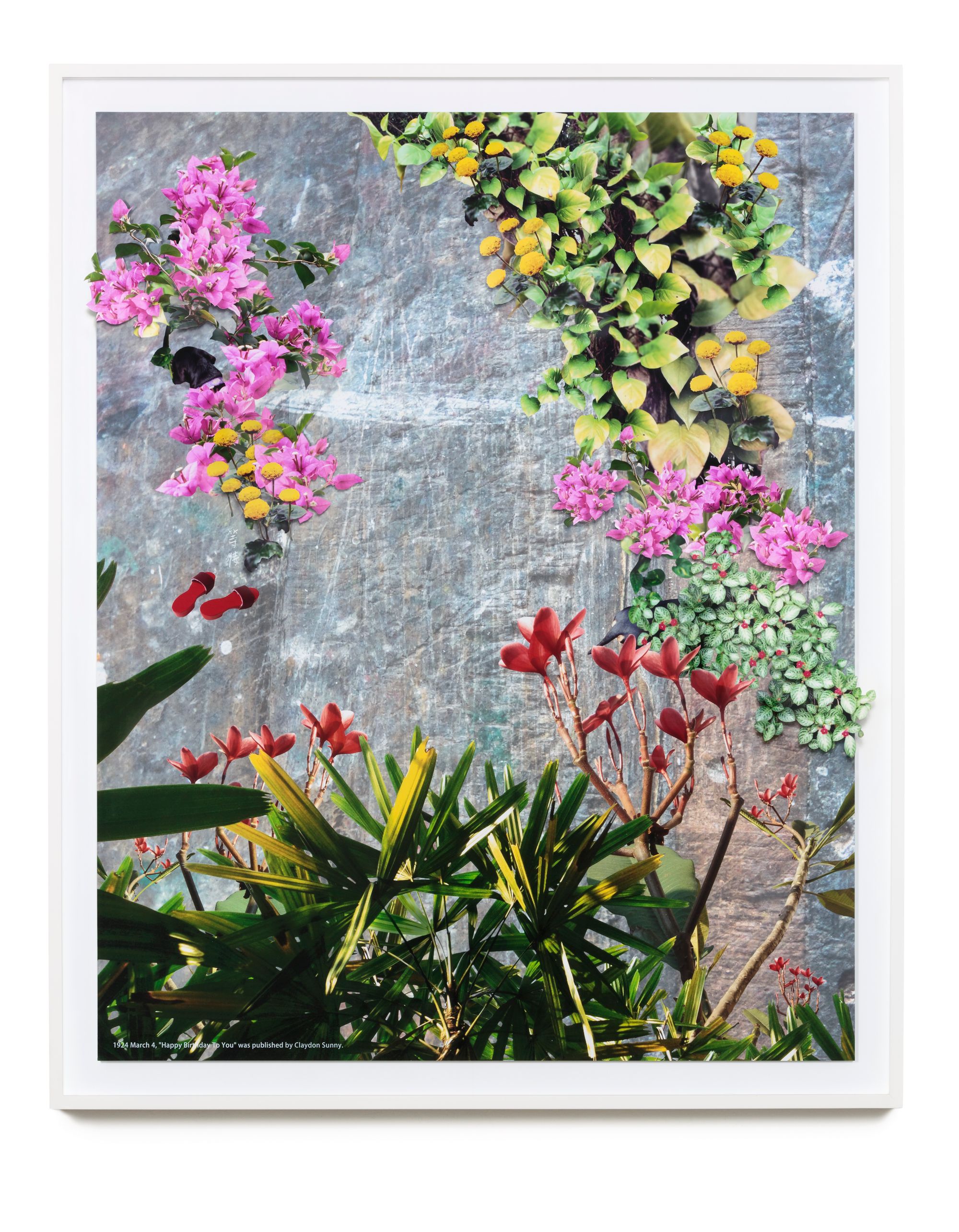 Amanda Heng | Artist Profile, Exhibitions & Artworks | Ocula