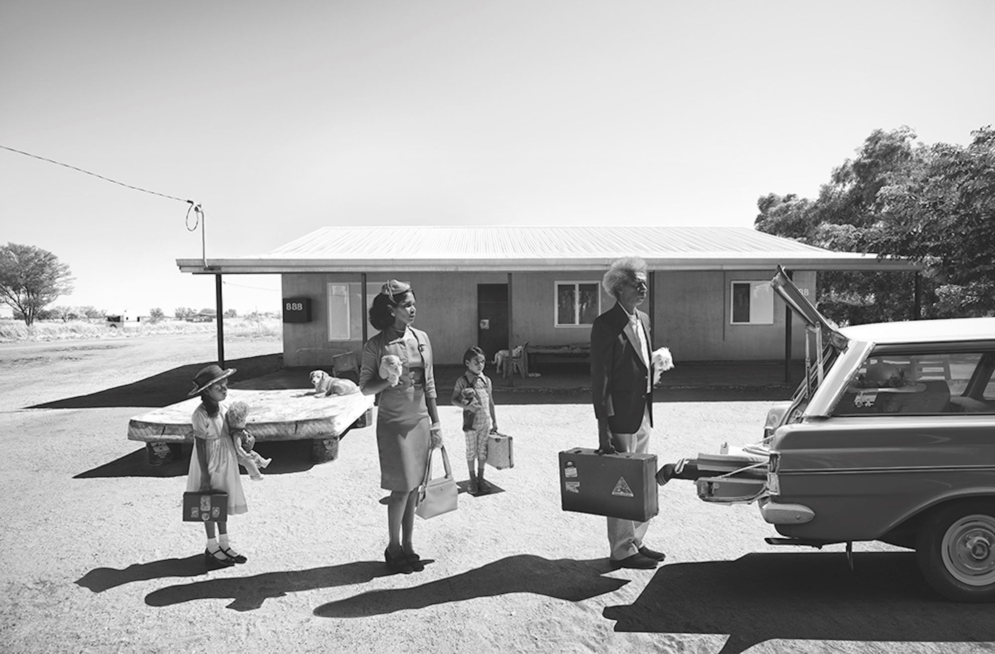 Michael Cook Biography, Artworks & Exhibitions | Ocula Artist