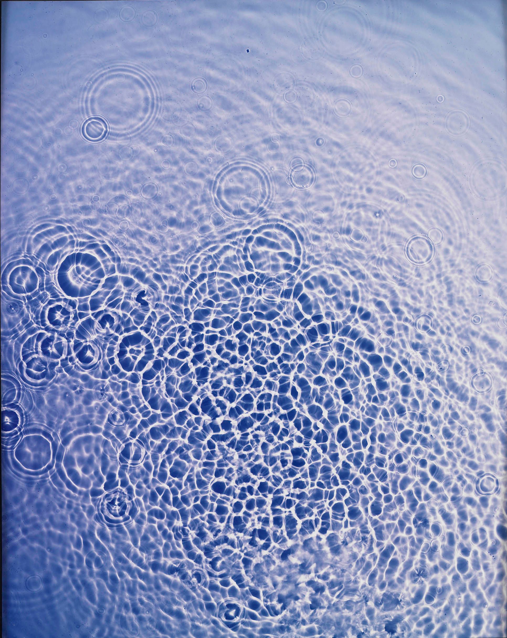 Adam Fuss Biography, Artworks & Exhibitions | Ocula Artist