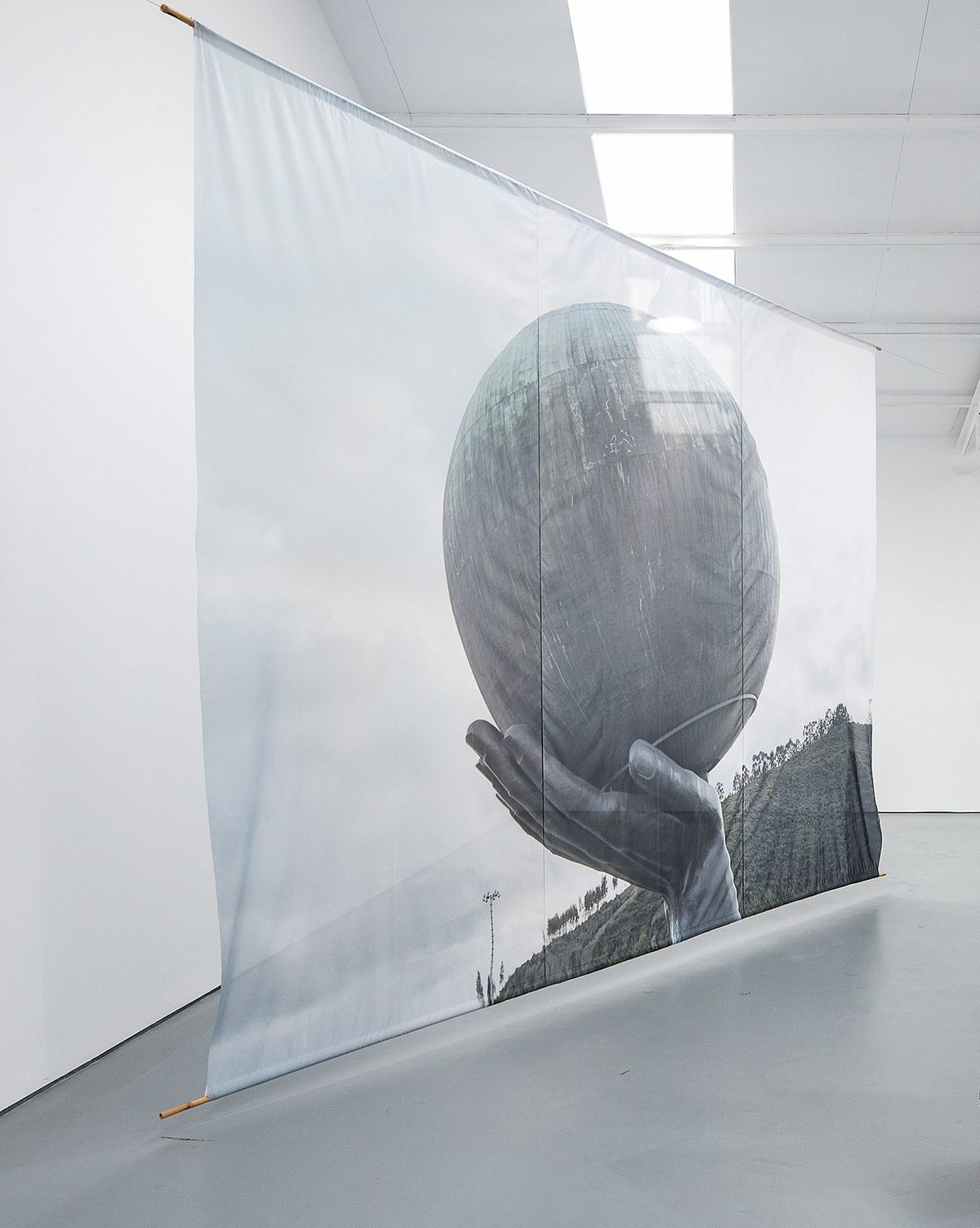 Daniel Otero Torres Exhibitions at leading galleries | Ocula