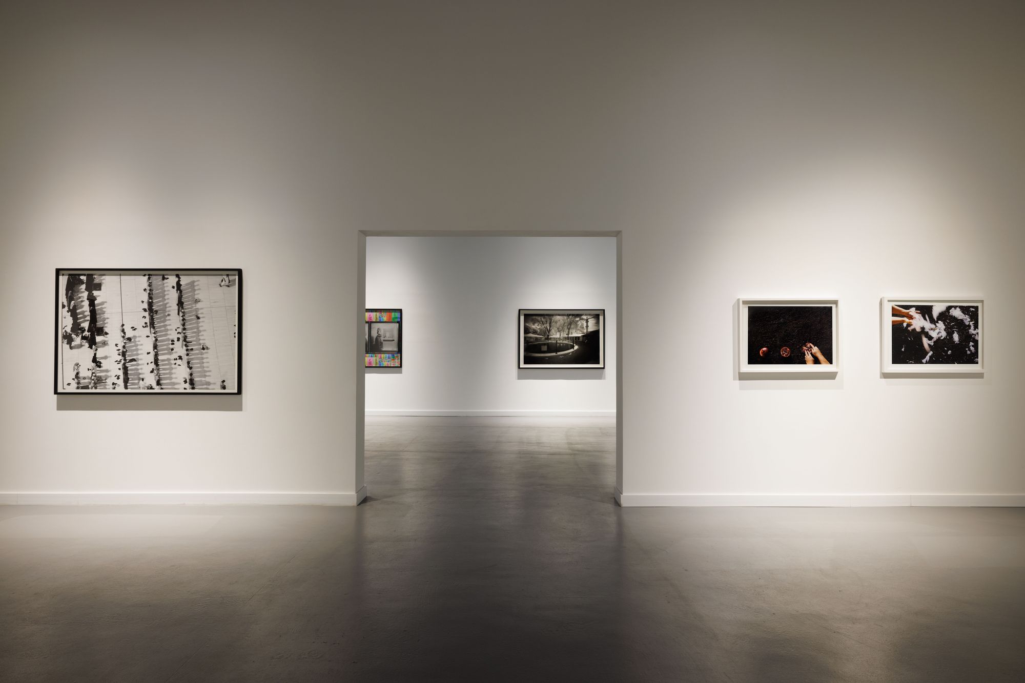 'Lens & Light: Moments in Focus' at Ayyam Gallery, Dubai, United Arab ...