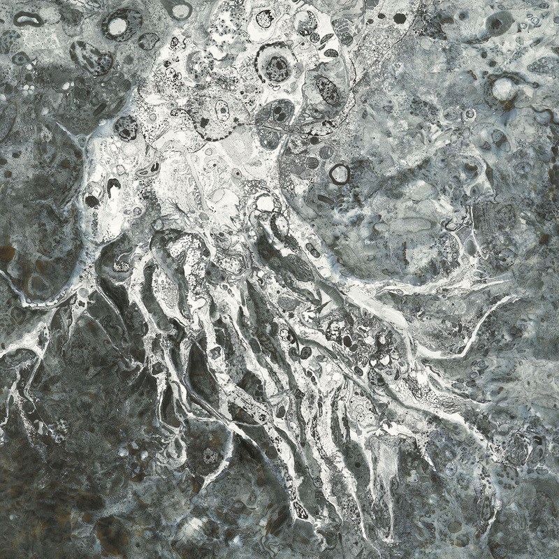 Ling Pui Sze Exhibitions at leading galleries | Ocula