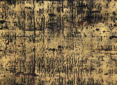 Makoto Fujimura Biography, Artworks & Exhibitions | Ocula Artist