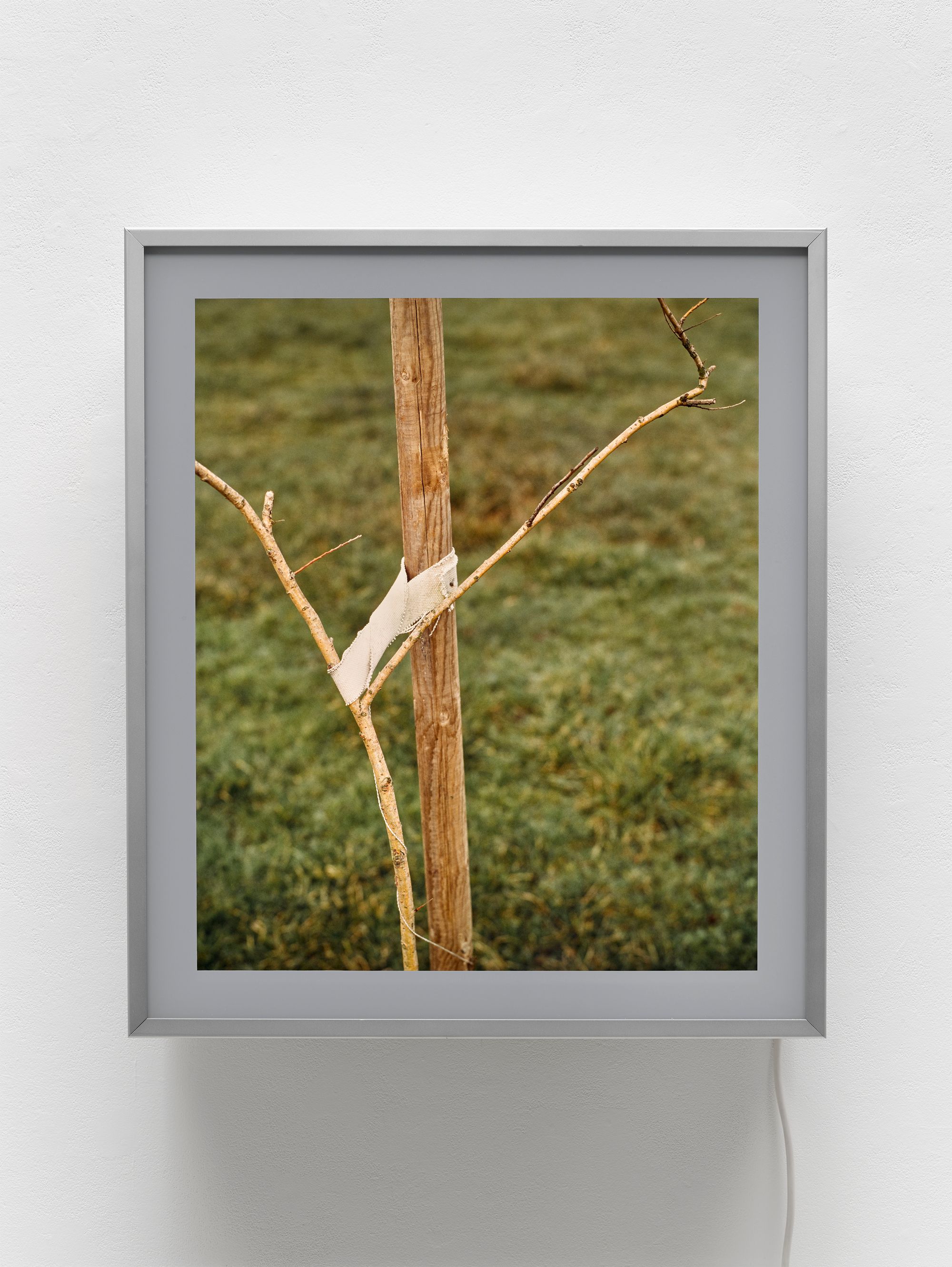 Jeff Wall Biography, Artworks & Exhibitions | Ocula Artist