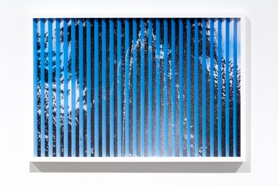 Megan Jenkinson Artworks | Ocula Artist