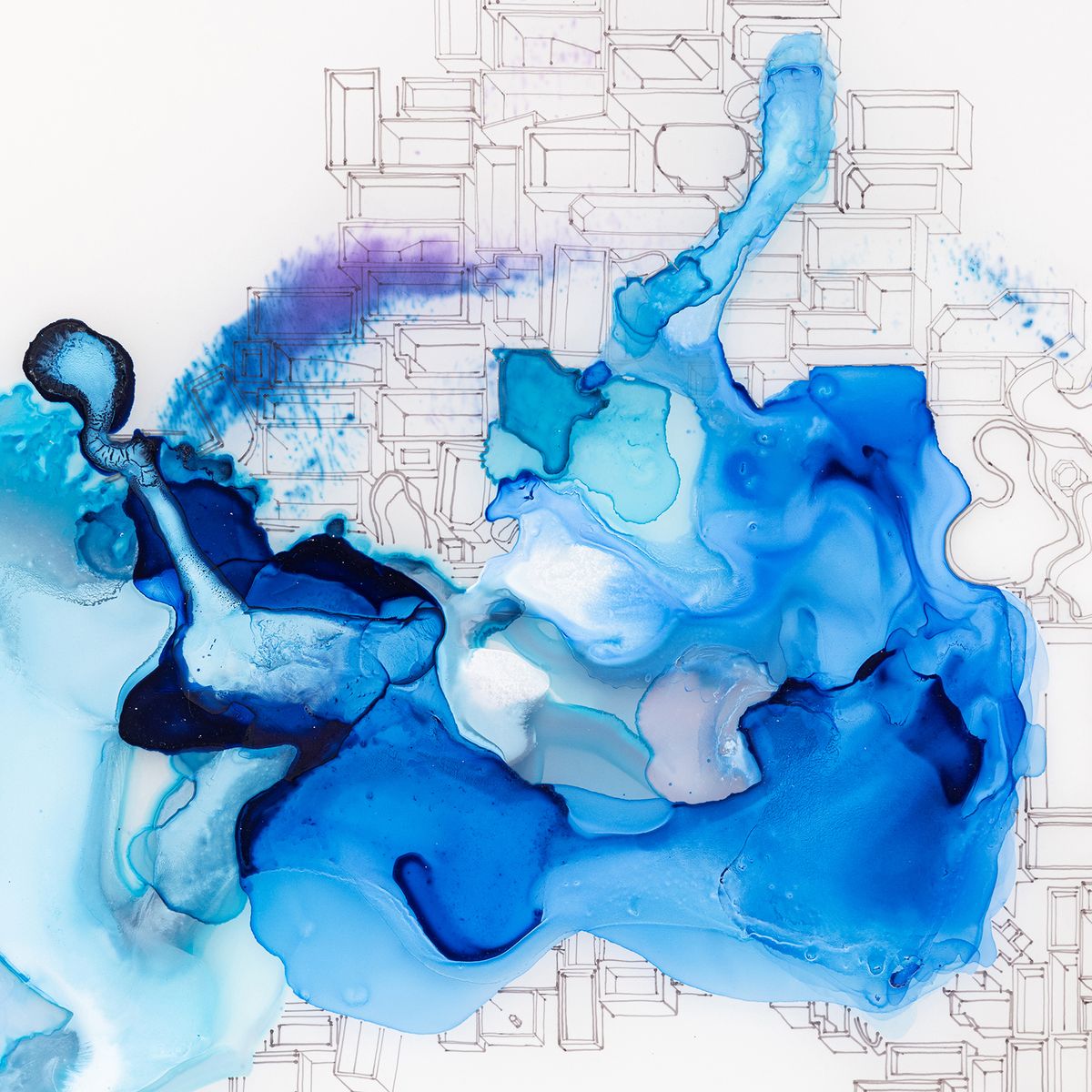 Nazgol Ansarinia's Art For Sale, Exhibitions & Biography | Ocula Artist