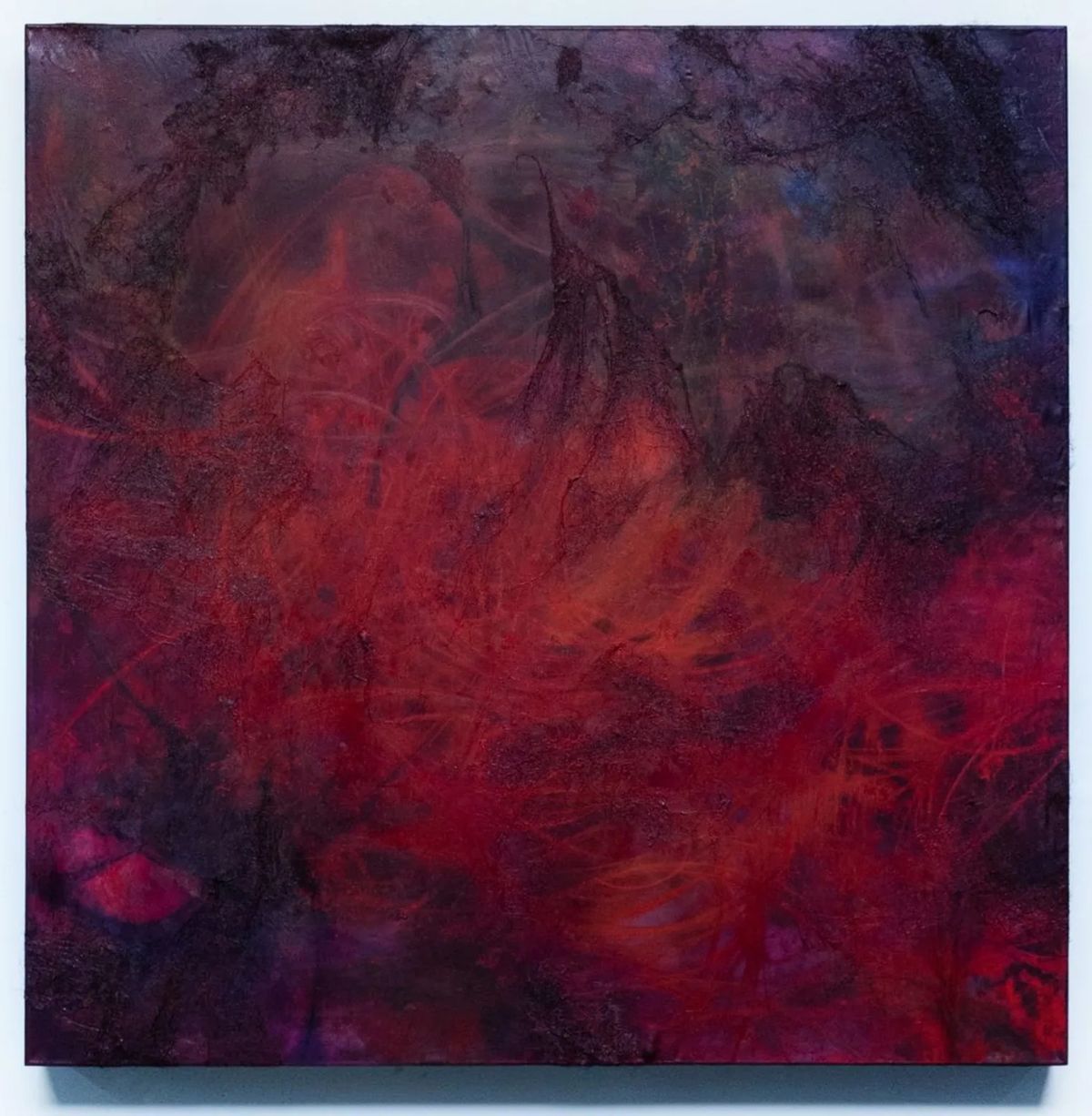 Amy Hui Li's Art For Sale, Exhibitions & Biography | Ocula Artist