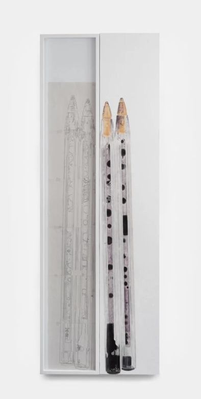 Plastic Skeleton & Inside Rearranged Region, 2024 by Elise Nguyen Quoc ...