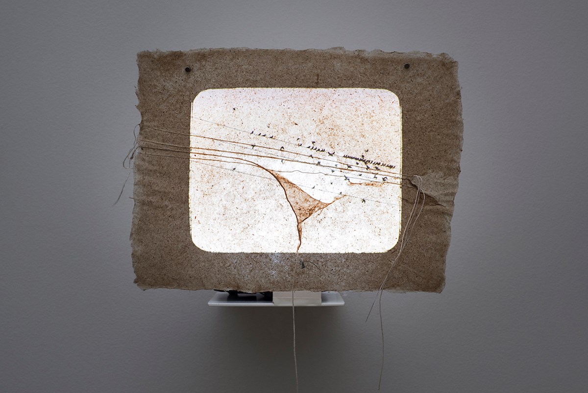 Amar Kanwar's Art For Sale, Exhibitions & Biography | Ocula Artist