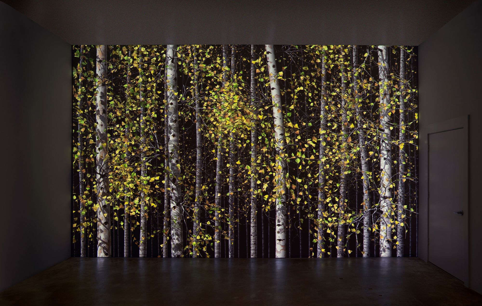 Jennifer Steinkamp Biography, Artworks & Exhibitions | Ocula Artist