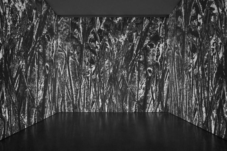 Michal Rovner, 'Pragim' at Pace Gallery, 540 West 25th Street, New York ...