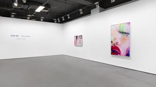 Marilyn Minter Biography, Artworks & Exhibitions | Ocula Artist