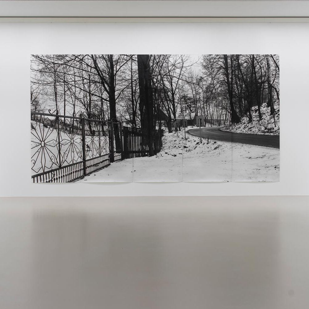 Hannah Collins' Art For Sale, Exhibitions & Biography | Ocula Artist