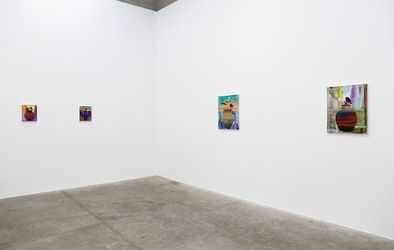 Chris Heaphy, 'Bird Life' at Jonathan Smart Gallery, Christchurch, New ...