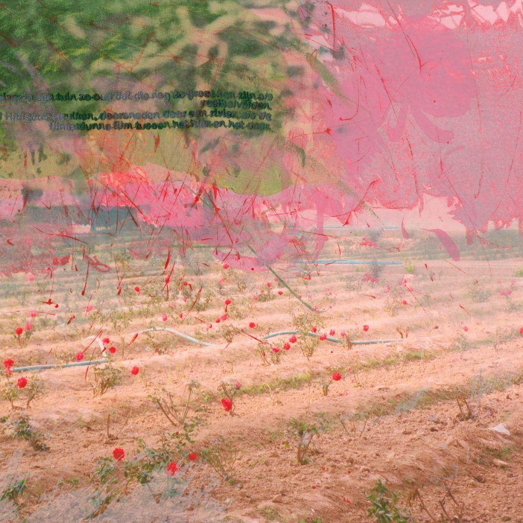 Stanislaw Lewkowicz's Art For Sale, Exhibitions & Biography | Ocula Artist