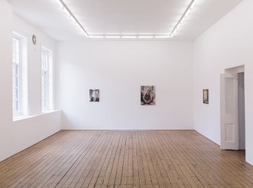 Mike Silva Biography, Artworks & Exhibitions | Ocula Artist