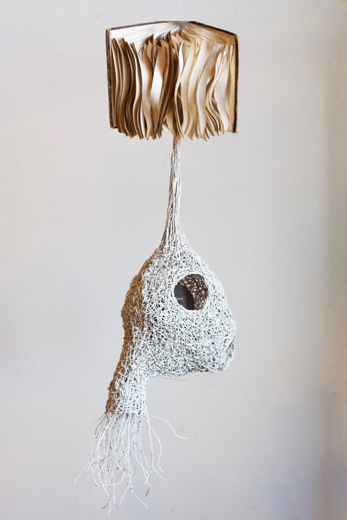 Jukhee Kwon Biography, Artworks & Exhibitions | Ocula Artist