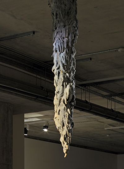 Dorothy Cross Biography, Artworks & Exhibitions | Ocula Artist