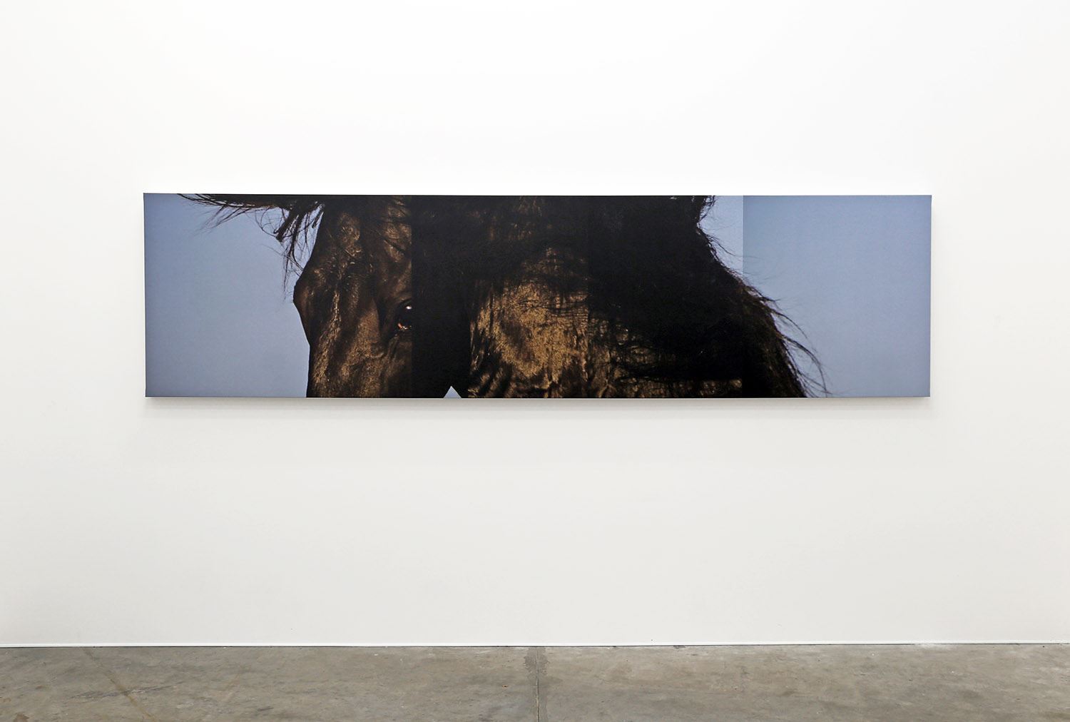 Nathan Pohio, 'In a Dream of 200,000,000 Horses' at Jonathan Smart ...