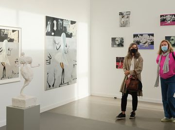 Pam Evelyn Biography, Artworks & Exhibitions | Ocula Artist