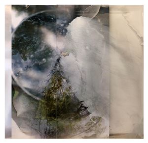 Janet Laurence | Artist Profile, Exhibitions & Artworks | Ocula